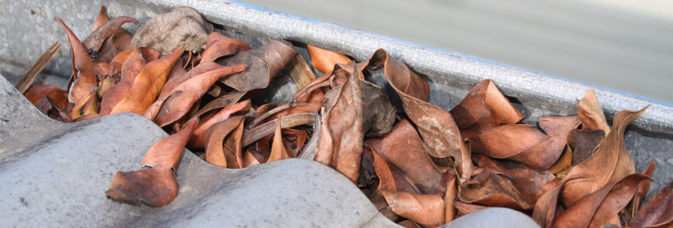 Gutters: The First Line of Home Defence? | BMCo - Gutter Mesh